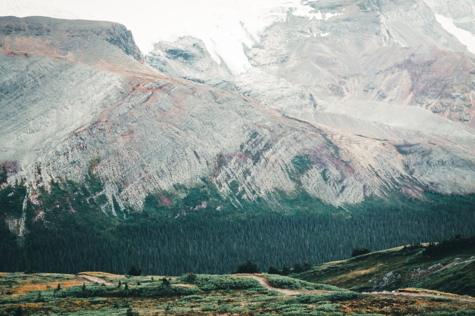 What Is an Immigration Detention Review? - Joshua Slayen Canadian ...