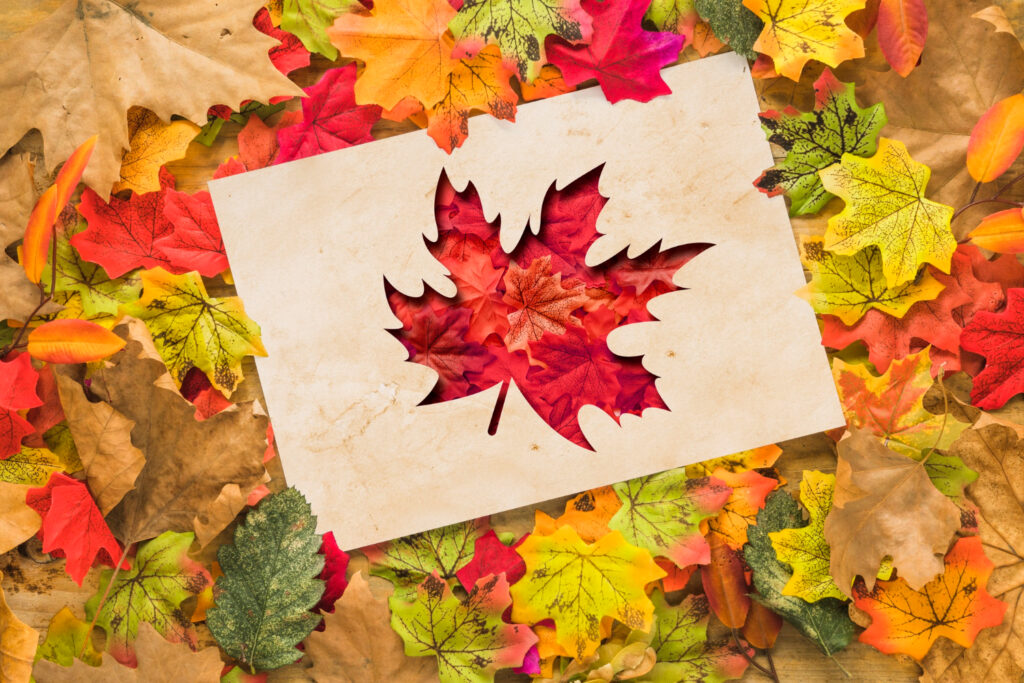 Why Sponsorship is Key to a Smooth Immigration Process in Canada ...